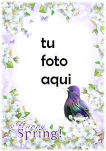 Marco Para Foto Hermoso Día De Primavera Primavera Marcos | Foto Marcos